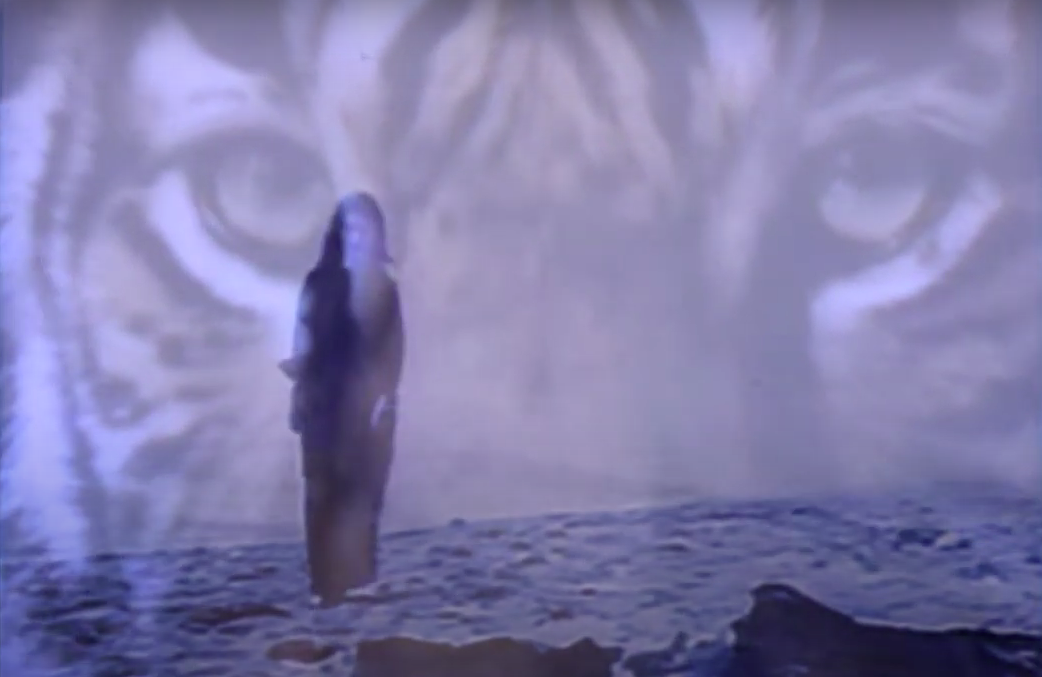 Formal Contortion and Two-Way Distortion Between Poem and Performance ...